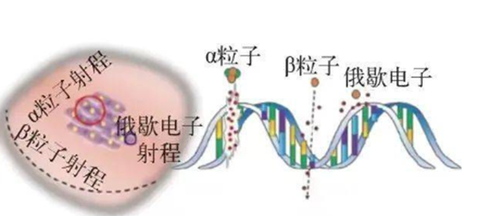 Eckert & Ziegler供货225Ac订单激增 - 北京埃齐志达科技有限公司